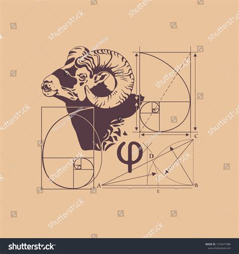 Italian Scientist Leonardo Fibonacci Law Golden Stock Vector Royalty