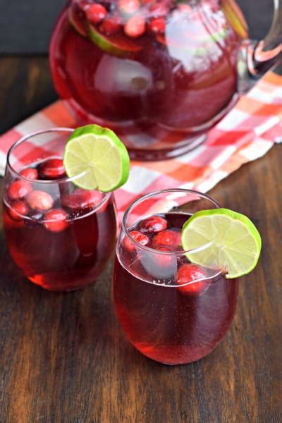 Cranberry Ginger Ale Punch Recipe Food Fanatic