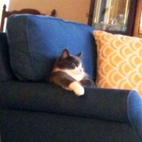 Me Waiting For The Day Iw Fixes The Maps Or Brings Better Ones In R
