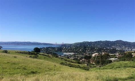 Tiburon Ca 2023 Best Places To Visit Tripadvisor