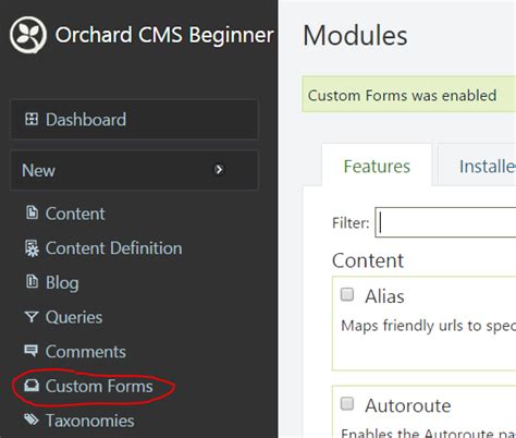 custom forms in orchard orchard project orchard cms learn orchard