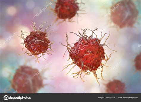 Dendritic Cell Antigen Presenting Immune Cell Stock Photo By Katerynakon