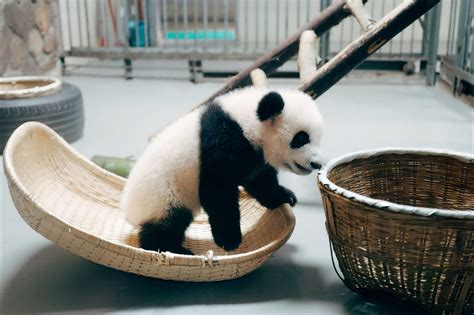 spark vs pandas part 4— recommendations by kaya kupferschmidt