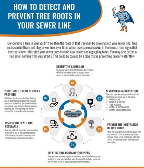 How To Detect And Prevent Tree Roots In Your Sewer Line Huft Home