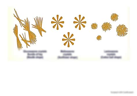 Solution Important Properties Of Monosaccharides Fully Explained