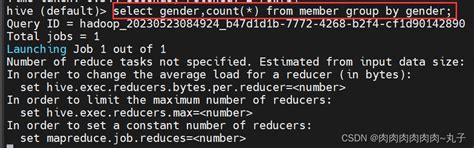 大数据应用——hive操作示例hive大数据案例实践 Csdn博客