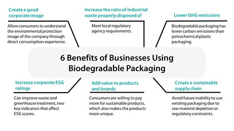 Biodegradable Packaging Materials Types And 5 Steps To Use It Renouvo