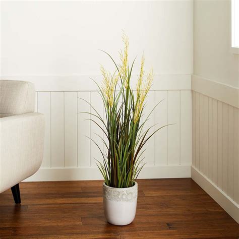 Potted Pampas Grass Bush 45
