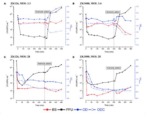 Representative Figures Of Phage Production Bacterial Killing And Download Scientific