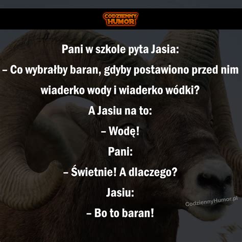 Obrazkowe Kawały Pani W Szkole Pyta Jasia Codziennyhumor Pl