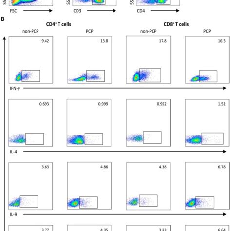 Representative Flow Cytometry Data Gating Strategy And Frequencies Of
