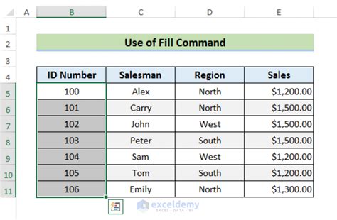 how to autofill ascending numbers in excel 5 quick ways exceldemy