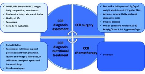 Workflow Of Nutritional Interventions During Crc Diagnosis And Under Download Scientific