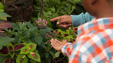 11 Adobe Photoshop Elements Tutorials Images Adobe Photoshop Elements 7 Tutorials Adobe