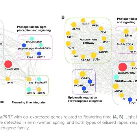 Liang Guo Professor Full Doctor Of Philosophy Huazhong Agricultural University Wuhan
