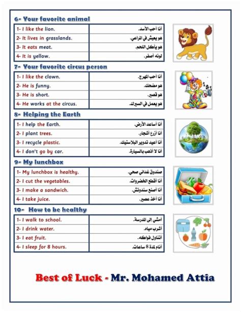 أهم براجرافات الصف الثالث الإبتدائي ترم أول 2025 مستر محمد عطية