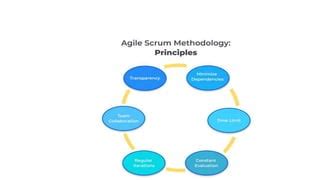 Agile Software Development With Scrum A Complete Guide To The Steps In Agile Scrum Methodology