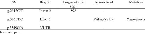 Single Nucleotide Polymorphism Snp And Amino Acid Analysis For