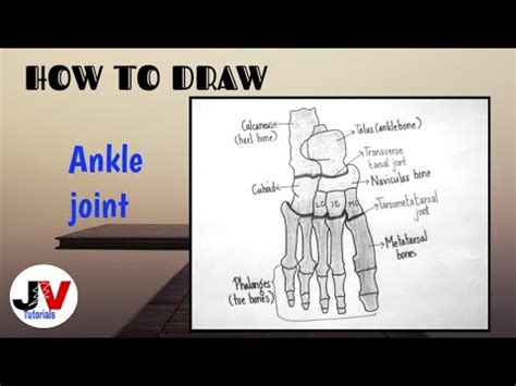 How To Draw Foot And Ankle Bone Anatomy Drawing Ankle Joint Diagram