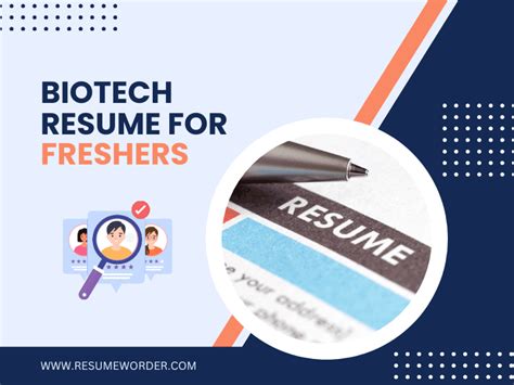 Selenium Automation Testing Resume For Freshers Best Samples And Guide