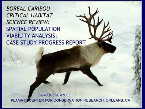 Ppt Boreal Caribou Critical Habitat Science Review Spatial