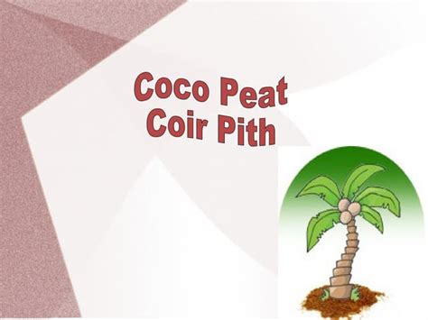 About Coco Peat And Coir Pith Odp