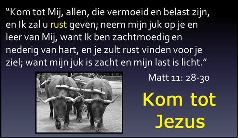 Geestelijk Herstel Les 1 Wil Je Vrij Zijn Pastorale Hulpverlening