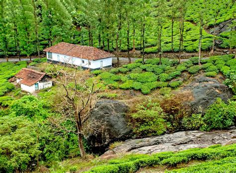 Scenic Coorg And Wayanad 4 Nights 5 Days Tour Package