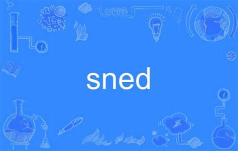 Sned 百度百科