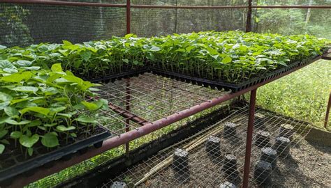 Modern Gardens Modern Gardens Added A New Photo