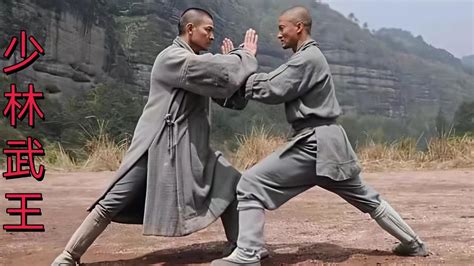 ⚔️功夫電影！名將遺孤滅門，投身少林寺苦練功夫成最強武僧，最終手刃仇人 功夫 太极 战争 Mma｜tai Chi ⚔️中国电视剧