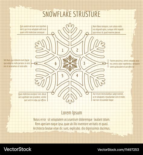 Snowflake Structure Vintage Poster Royalty Free Vector Image