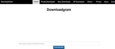 Best Free Instagram Video Downloader 2026 — Apps Online And Chrome To