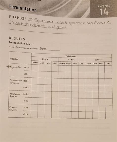 Fermentation PURPOSE To Figure Out Which Organisms Chegg