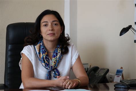 ეკატერინე სისაური სს საქართველოს ნავთობისა და გაზის კორპორაცია Gogc Ge