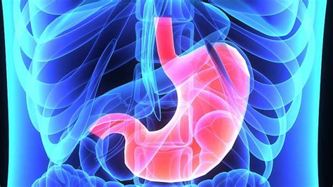 Gastrita Cauze Simptome Diagnostic Tratament