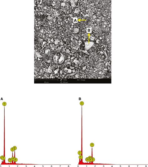 Sem Eds Analysis Of The Residual Slag After Microwave Assisted Leaching Download Scientific