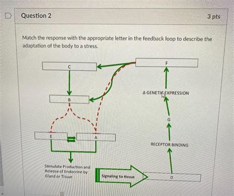 Solved Match The Response With The Appropriate Letter In