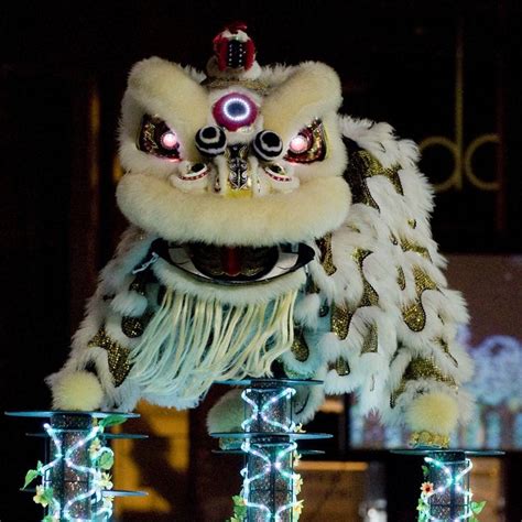 National Lion Dance Championship 2010 023 Lion Dance Chinese Lion