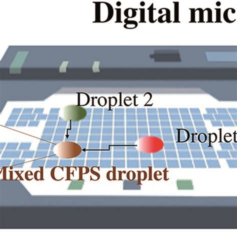 Cell Free Protein Expression Using Dmf Technology A Schematic