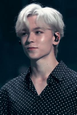 Woozi Jeonghan Wonwoo Vernon Seventeen Seventeen Debut Choi Hansol Vernon Hansol Chinese