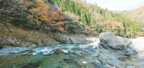 西之谷ふれあいの森キャンプ場