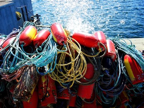 Premium Photo Fishing Equipment At Harbor