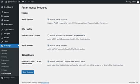 The Performance Lab Plugin Has Been Released Rwpo