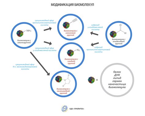 ОДО Праймтех -реагенты и материалы для молекулярной биологии