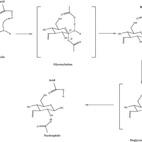 Structure Of Kappa Iota And Lambda Carrageenans Download Scientific