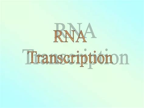 PPT RNA Transcription PowerPoint Presentation Free Download ID 5732793