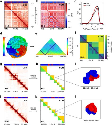 Structural Basis For The Preservation Of A Subset Of Topologically