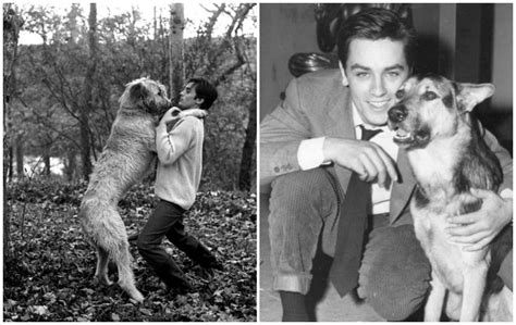 Unde Va Fi înmormântat Alain Delon