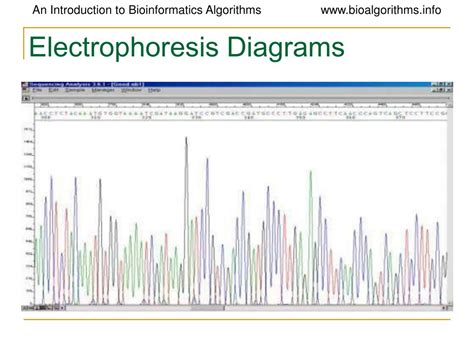Ppt Graph Algorithms In Bioinformatics Powerpoint Presentation Free